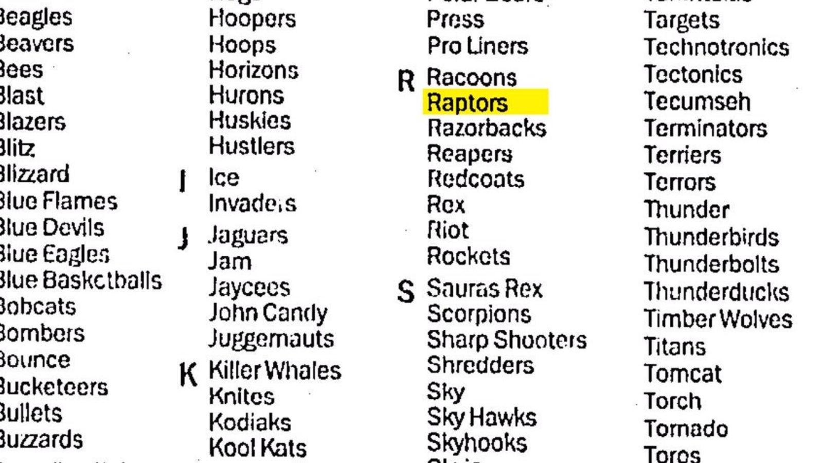 Most Of These Team Names Would ve Been Way Better Than Raptors 